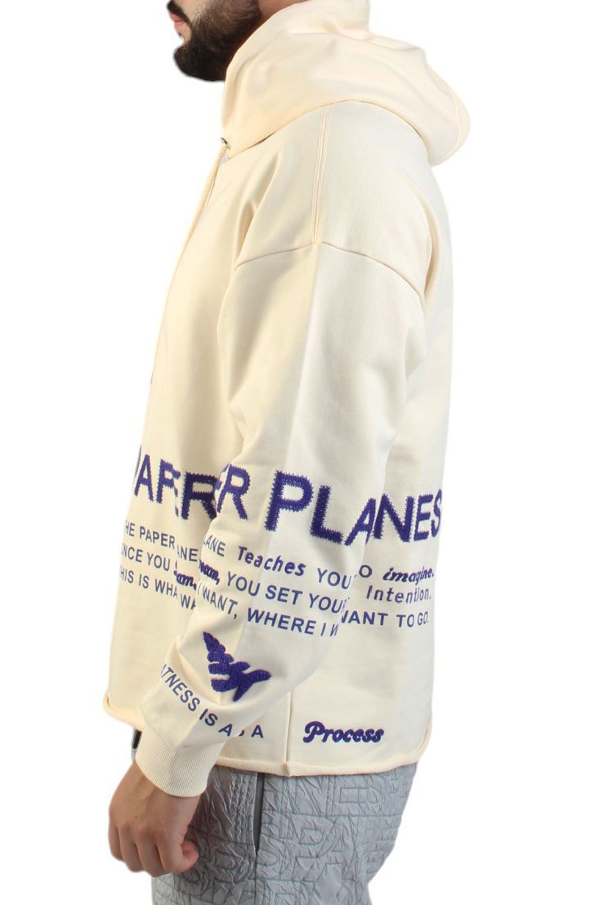 PAPER PLANES Planes Advance Pullover Hoodie 300367EGG - Shiekh