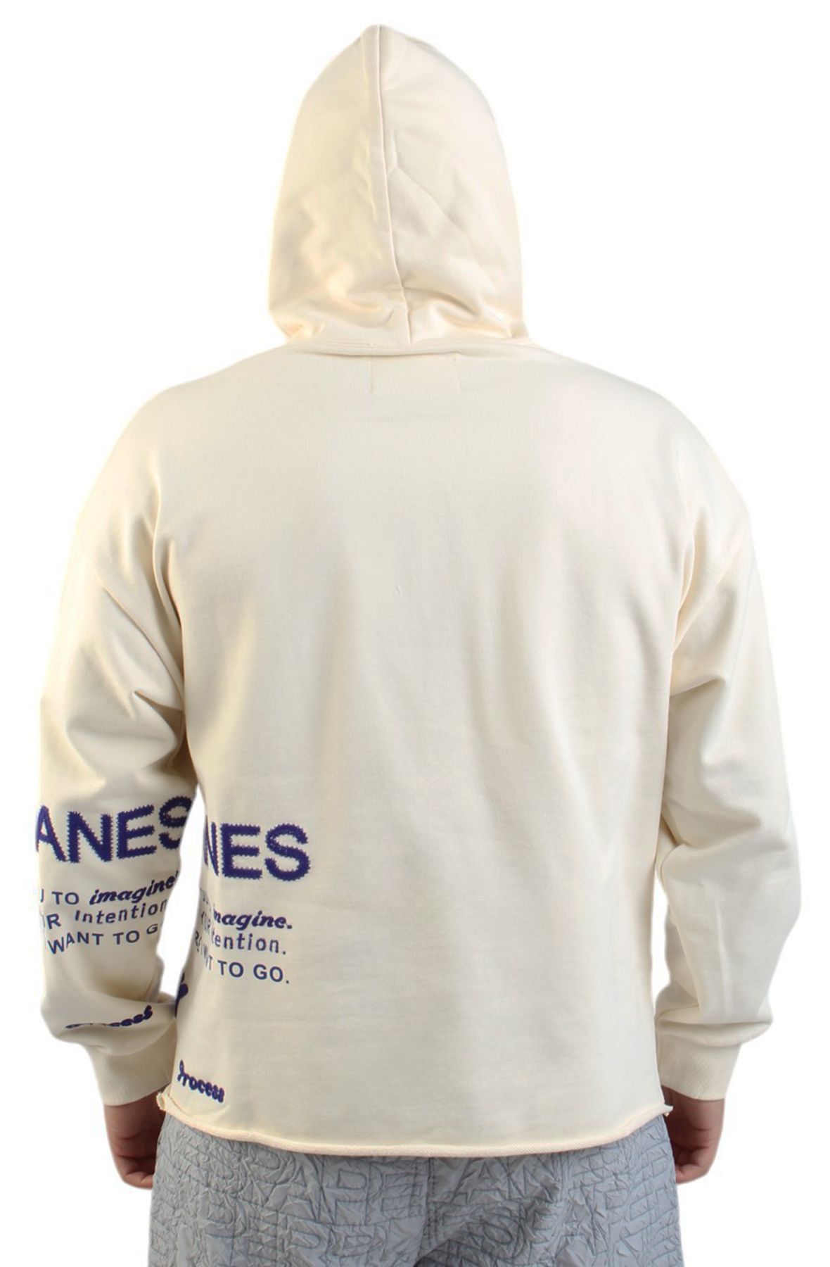 PAPER PLANES Planes Advance Pullover Hoodie 300367EGG - Shiekh