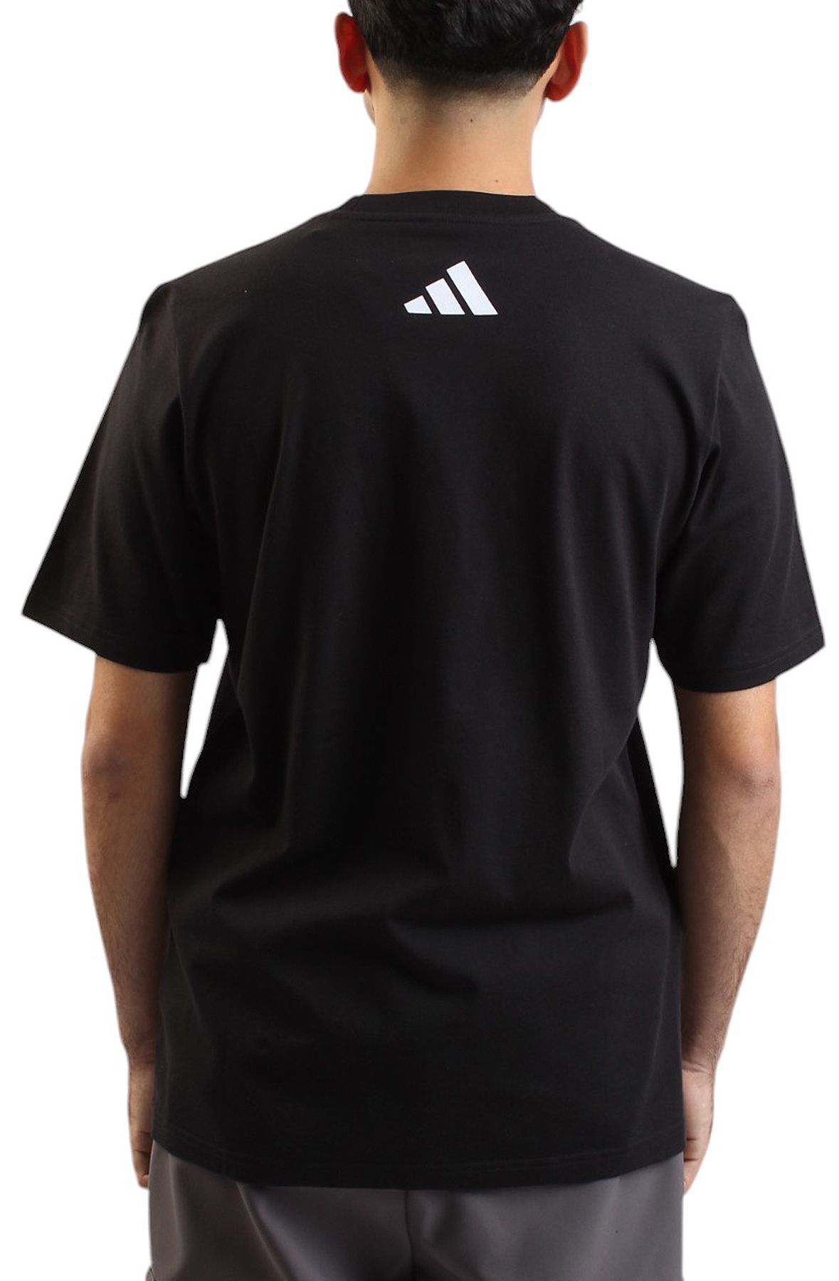 ADIDAS Mercedes - AMG Petronas Formula One Team DNA Graphic T-Shirt ...