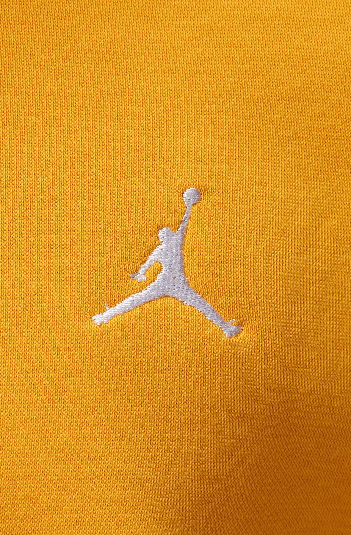 JORDAN Brooklyn Fleece Printed Pullover Hoodie FJ7774 752 - Shiekh