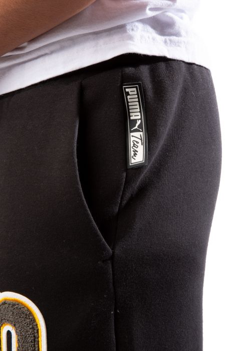 PUMA Team Sweatpants 534308 01 - Shiekh