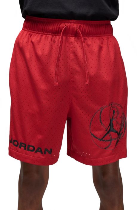 JORDAN Dri-FIT Sport BC Mesh Shorts DZ0569 687 - Shiekh
