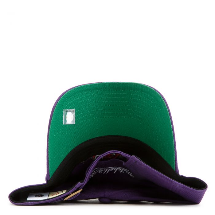 MITCHELL AND NESS Toronto Raptors Team Ground Dad Hat 6LUXMM20001 ...