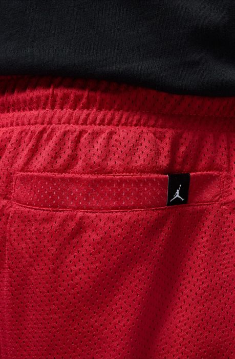 JORDAN Essentials Mesh Shorts DV7652 687 - Shiekh
