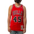 MITCHELL AND NESS Chicago Bulls Michael Jordan 1994-95 Authentic Jersey AJY4LG19008-CBUSCAR94MJO ...