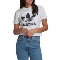 ADIDAS Adicolor Classics Trefoil Tee GN2899 - Shiekh